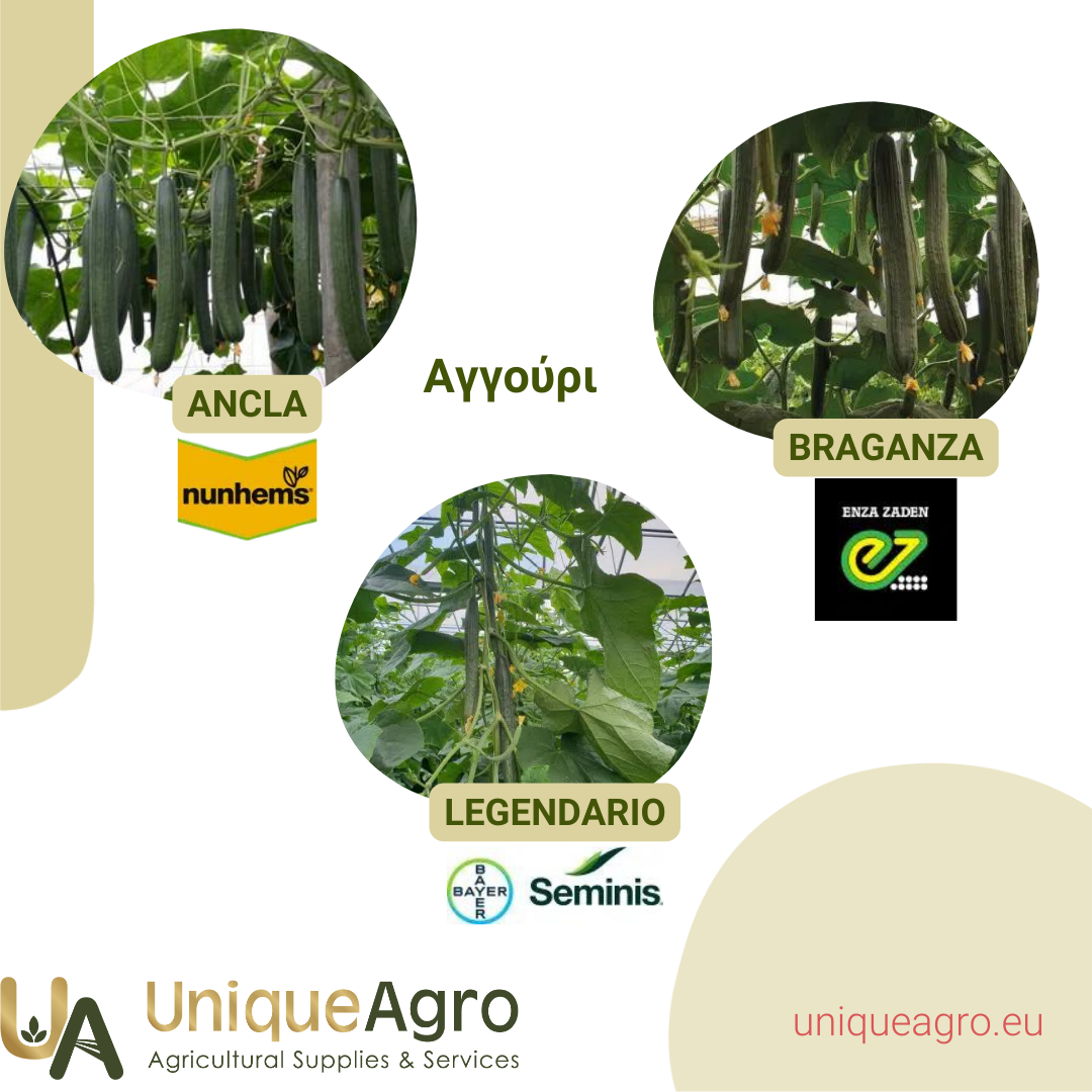 Σπόροι – uniqueagro