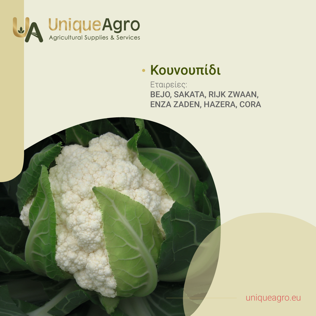 Σπόροι – uniqueagro